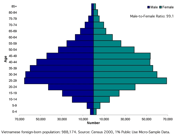 Foreign-Born Population from Vietnam, by Age and S.. | migrationpolicy.org